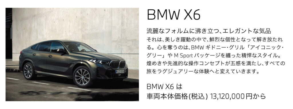BMW X MODELS FAIR